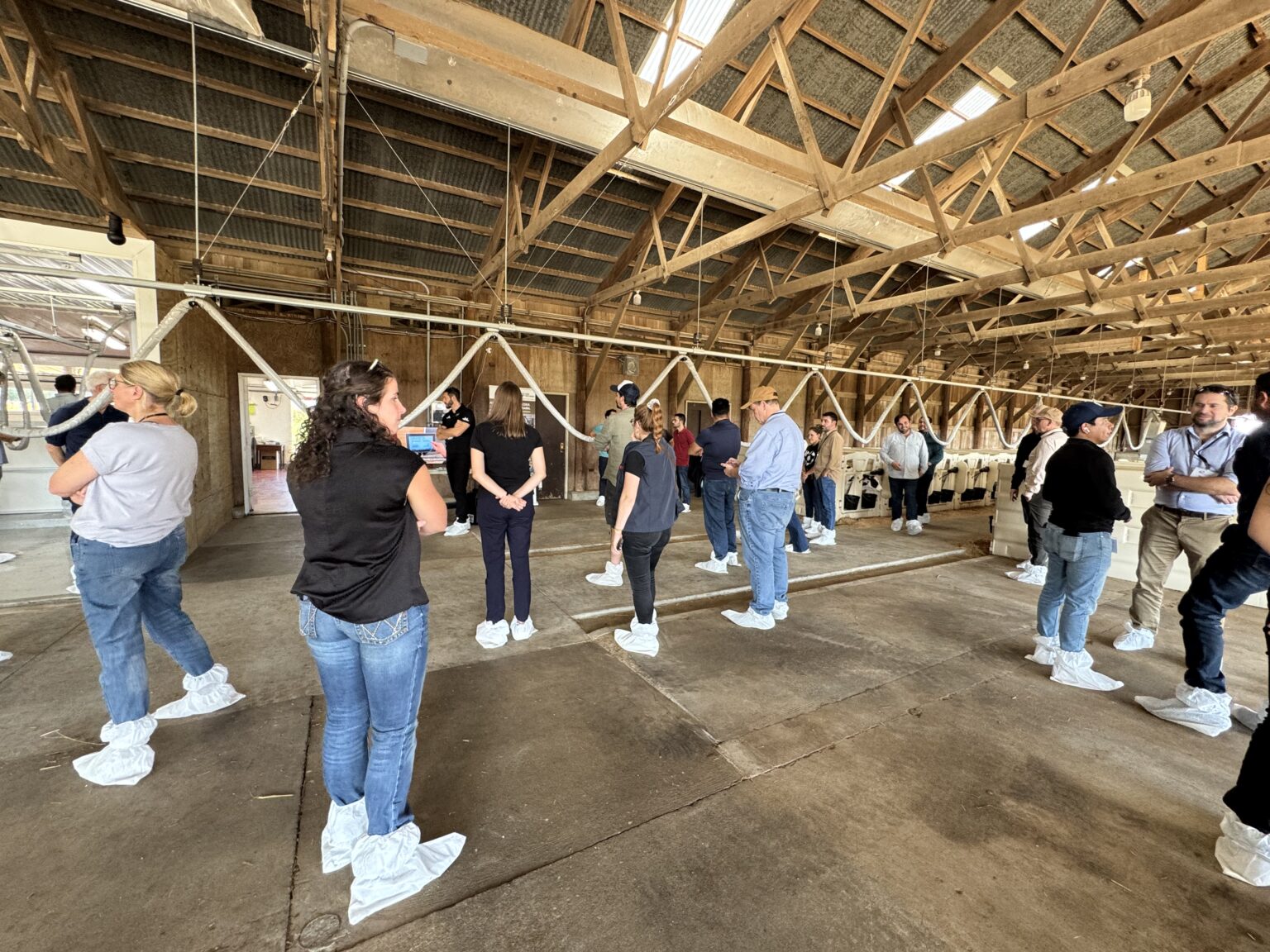 Smart Calf Rearing Conference – 25th-27th September, 2025